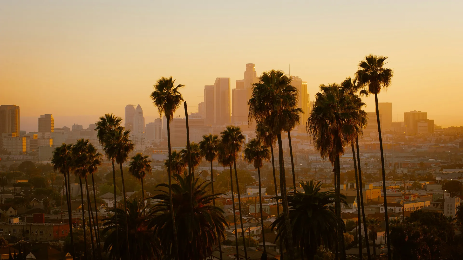 4 Run Clubs in Los Angeles (2026) | TheRunDrop